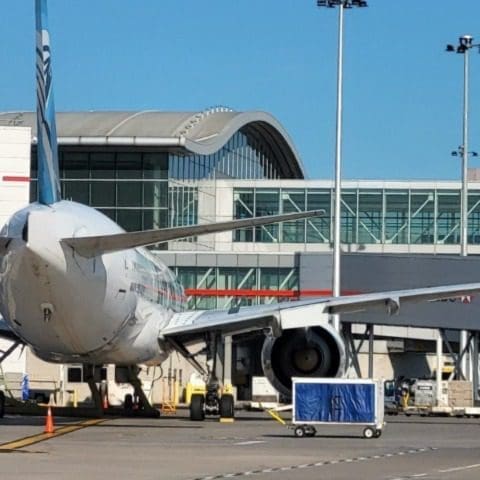 Open Steel Baggage Carts